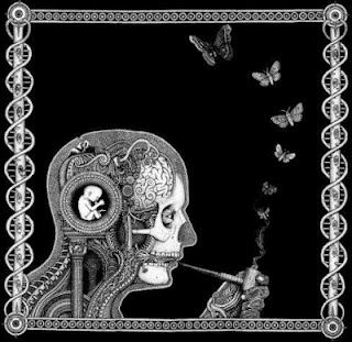 Soen - Cognitive | recenzje ArtRock.pl